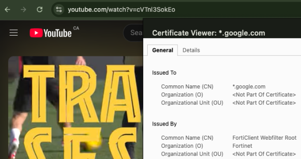 Web and Video Filter | FortiClient 7.4.3 | Fortinet Document Library