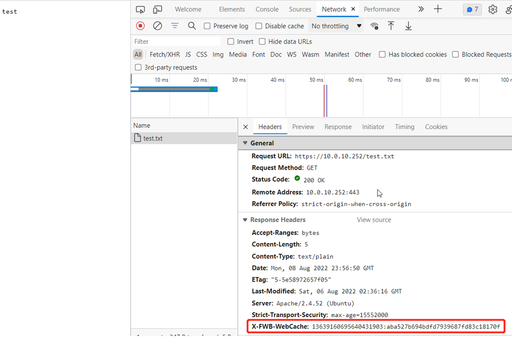 Troubleshoot for caching issues | FortiWeb 7.6.0 | Fortinet Document Library
