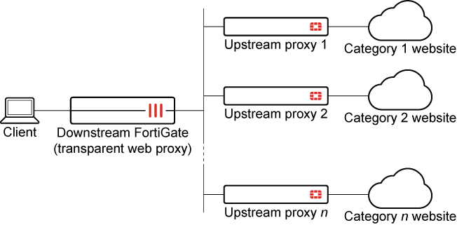 Transparent web proxy forwarding | FortiGate / FortiOS 7.6.4 | Fortinet Document Library