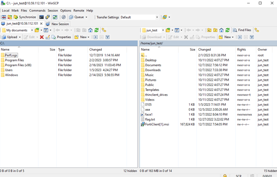 Launching a secret for the target server using the WinSCP launcher ...