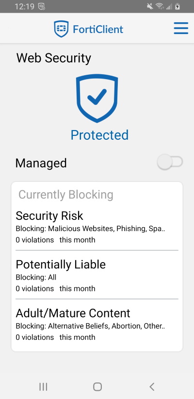 Web security settings | FortiClient 7.4.0 | Fortinet Document Library