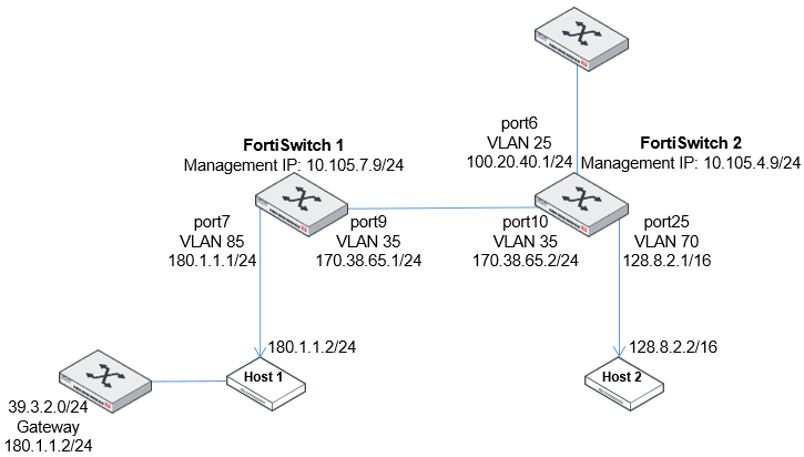 RIP | FortiSwitch 7.2.5