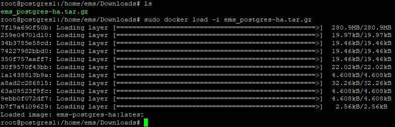 Installing EMS HA with Postgres HA using Bitnami Docker | FortiClient 7 ...