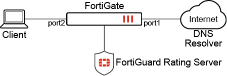 DNS over QUIC and DNS over HTTP3 for transparent and local-in DNS modes ...