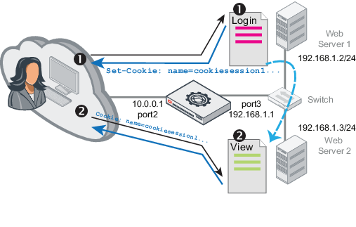 Administration Guide | FortiWeb 6.2.4 | Fortinet Documentation Library