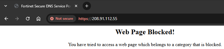 Verifying web security | FortiGate / FortiOS 7.6.0 | Fortinet Document ...