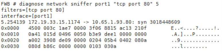 Packet capture via CLI command | FortiWeb 7.4.3 | Fortinet Document Library