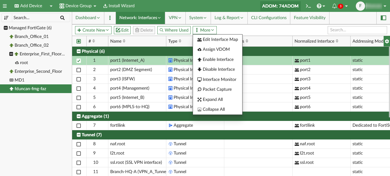Interface packet capture | FortiManager 7.6.2 | Fortinet Document Library