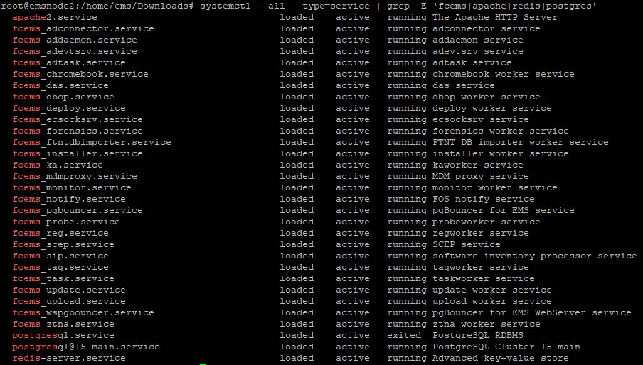 Installing EMS with standalone remote database without Docker ...