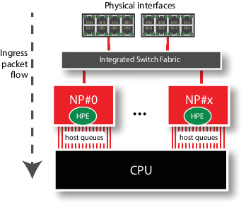 NP7 HPE packet flow and host queues | FortiGate / FortiOS 7.6.3 ...