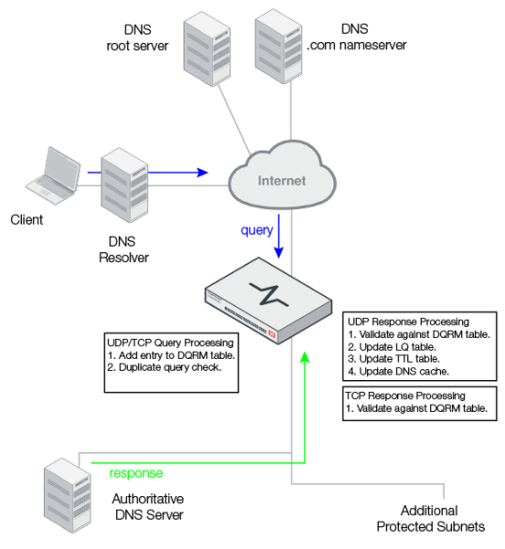 Understanding FortiDDoS DNS attack mitigation | FortiDDoS 5.7.3 ...