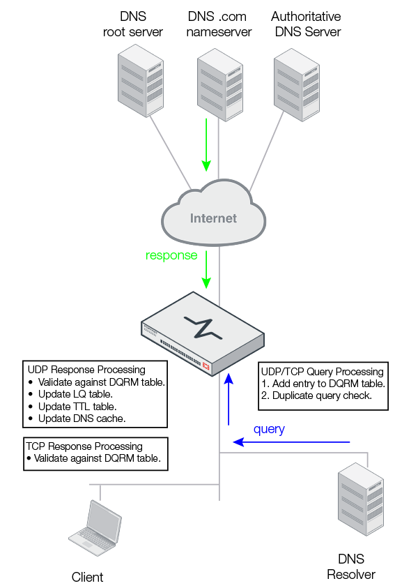 Understanding FortiDDoS DNS attack mitigation | FortiDDoS-F 7.0.1 ...