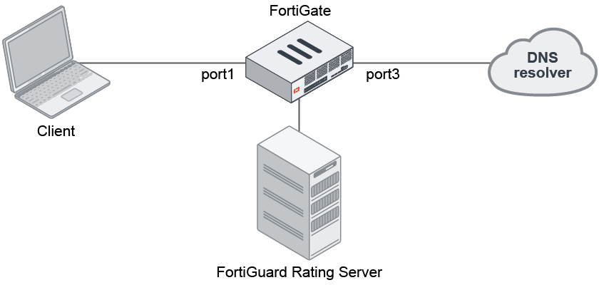 DNS inspection with DoT and DoH | FortiGate / FortiOS 7.4.5 | Fortinet ...