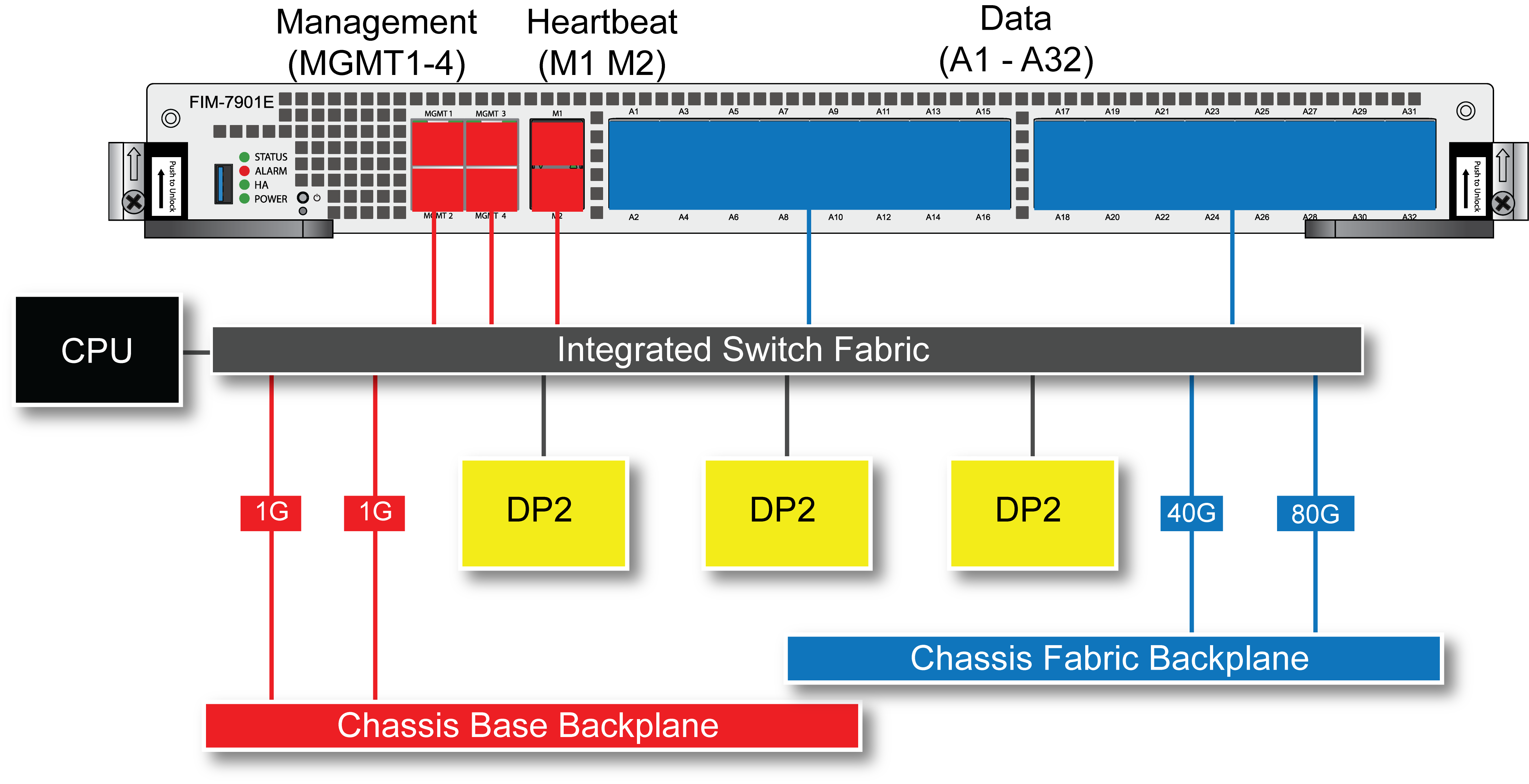 FIM-7901E interface module | FortiGate / FortiOS 7.6.3 | Fortinet ...