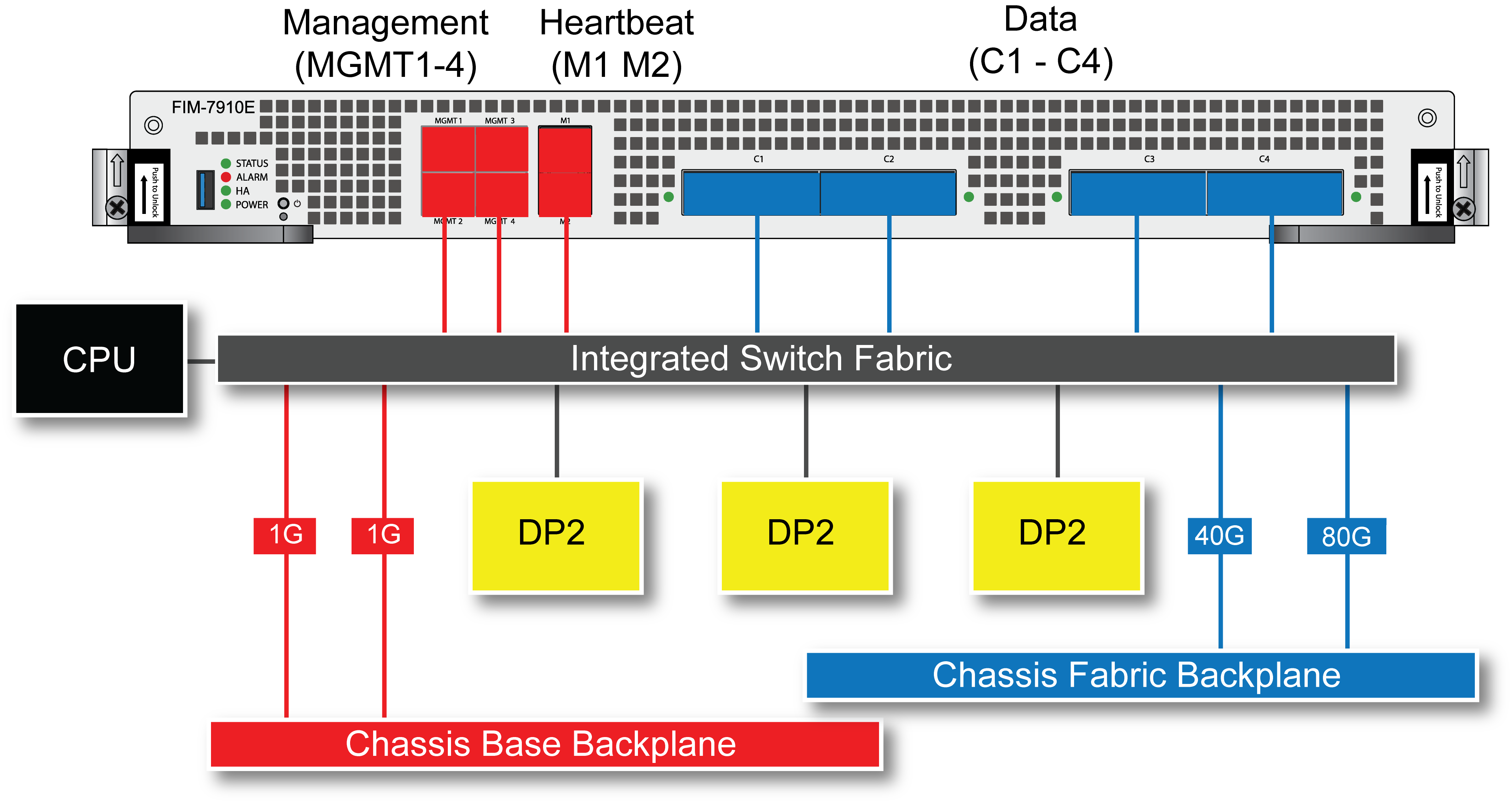 FIM-7910E interface module | FortiGate-7000 7.0.14 | Fortinet Document ...
