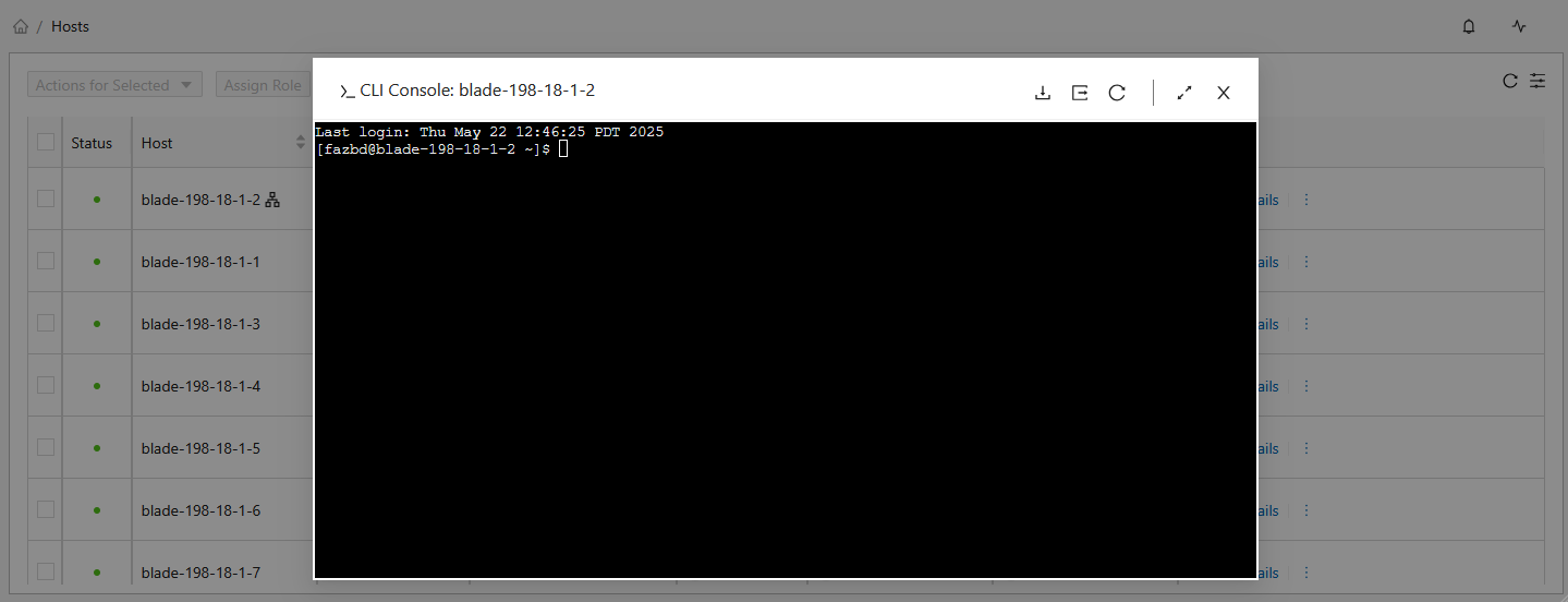 CLI Remote Console | FortiAnalyzer BigData 7.6.0 | Fortinet Document Library