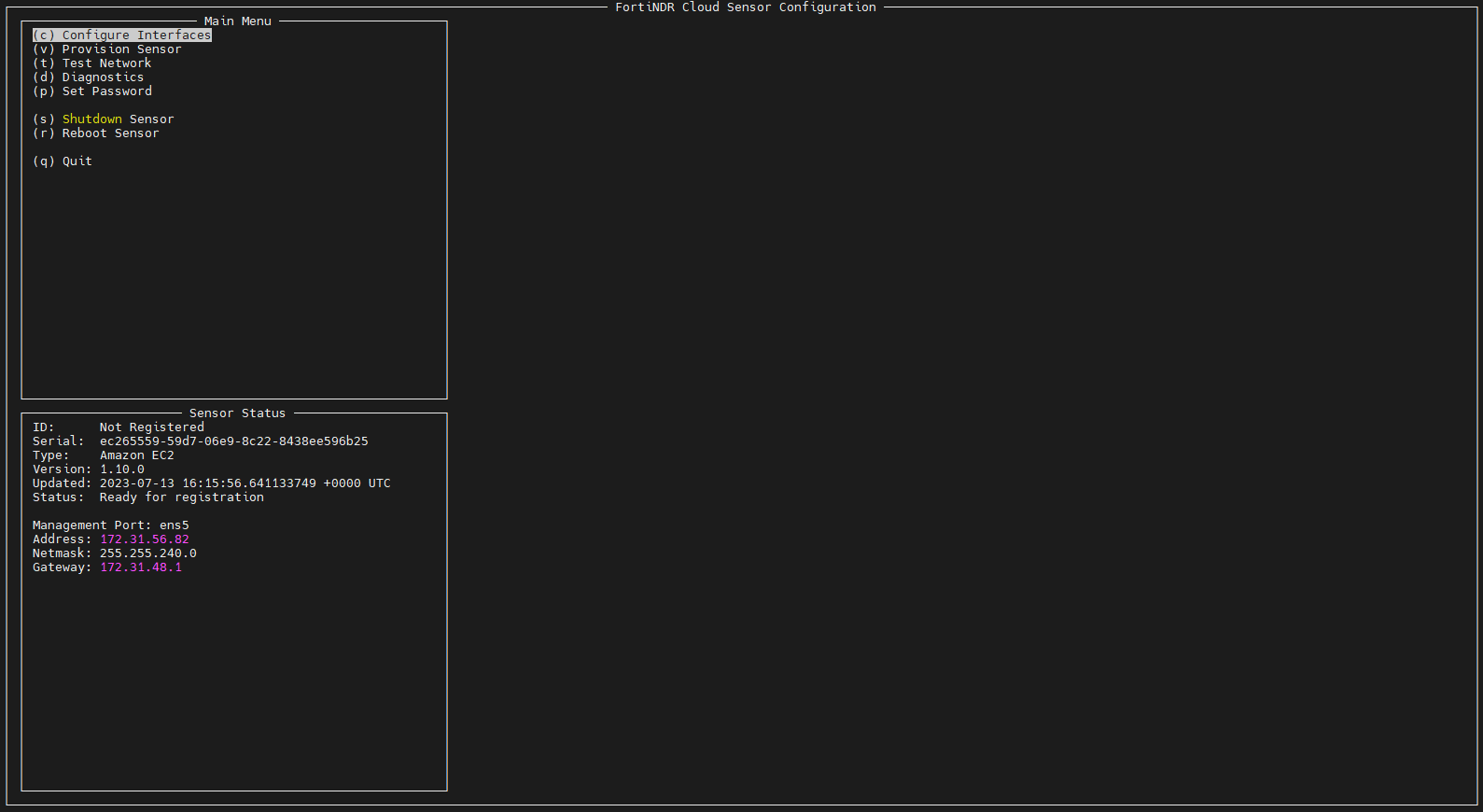 Deploy sensor on AWS | FortiNDR Cloud 2023.3.0 | Fortinet Document Library