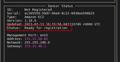 Deploy sensor on AWS | FortiNDR Cloud 2023.3.0 | Fortinet Document Library