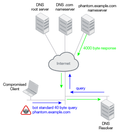 Understanding FortiDDoS DNS attack mitigation | FortiDDoS-F 7.0.3 ...