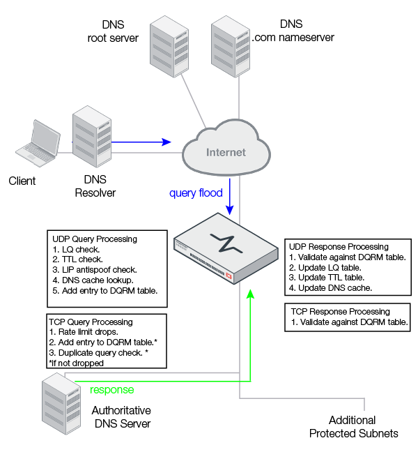 Understanding FortiDDoS DNS attack mitigation | FortiDDoS-F 7.0.3 ...