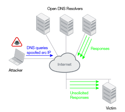 Understanding FortiDDoS DNS attack mitigation | FortiDDoS-F 7.0.3 ...