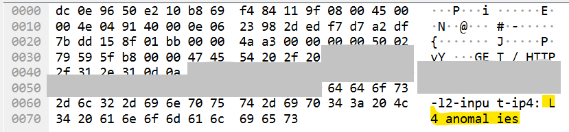 Packet Capture | FortiDDoS-F 7.0.3 | Fortinet Document Library