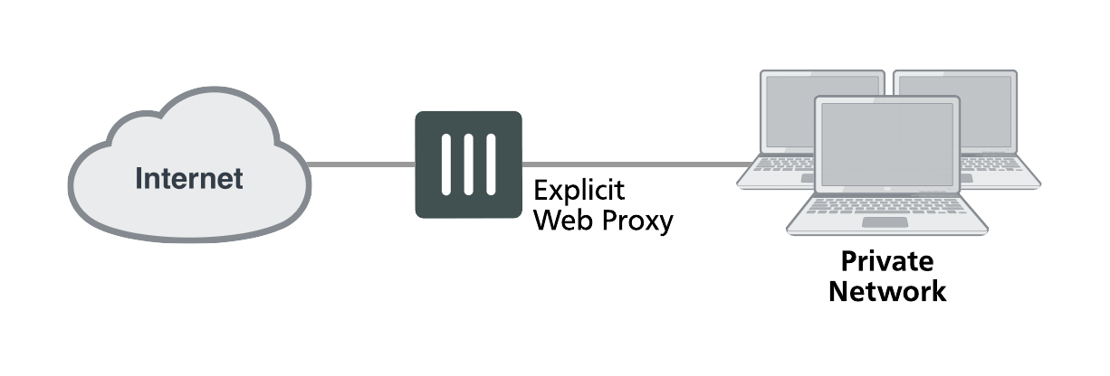 Web proxy | FortiProxy 7.4.3 | Fortinet Document Library