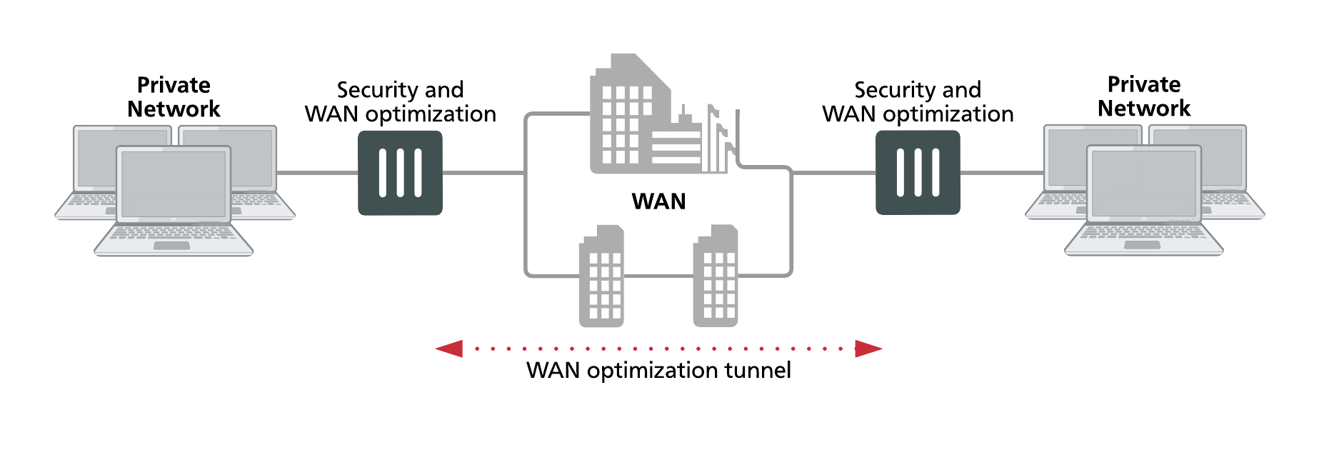 WAN optimization | FortiProxy 7.4.3 | Fortinet Document Library