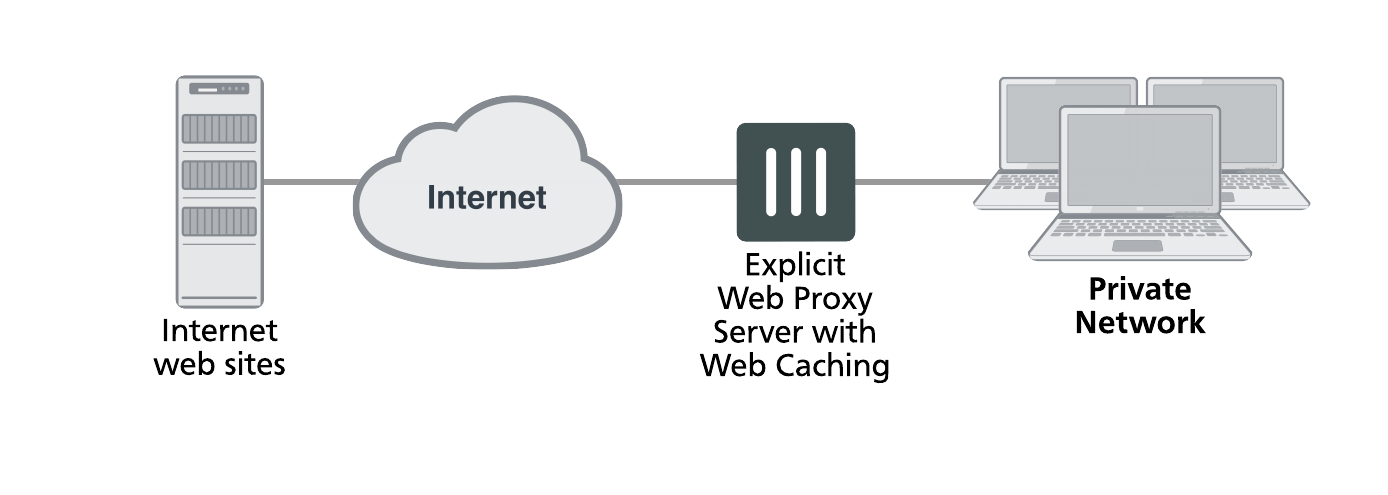 Web proxy | FortiProxy 7.6.0 | Fortinet Document Library
